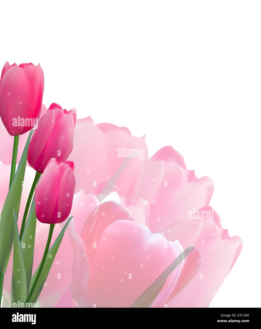 Floral background with Tulips Vector Illustration Stock Vector Image ...