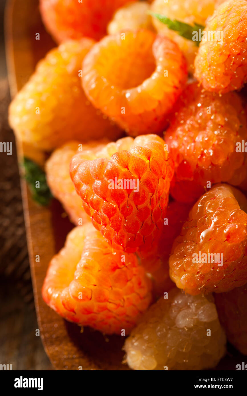 Raw Organic Orange Sunshine Raspberries Ready to Eat Stock Photo - Alamy