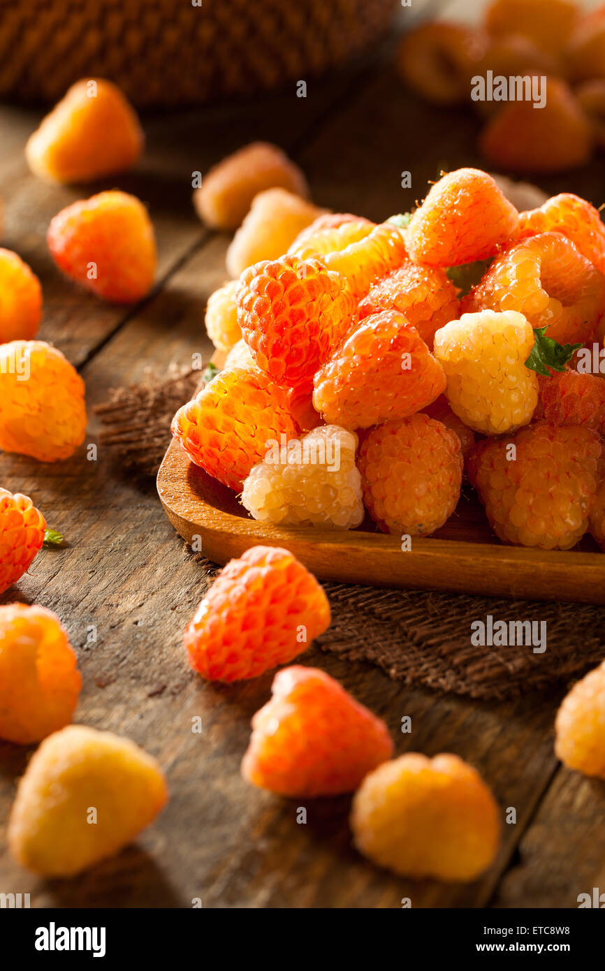 Raw Organic Orange Sunshine Raspberries Ready to Eat Stock Photo - Alamy