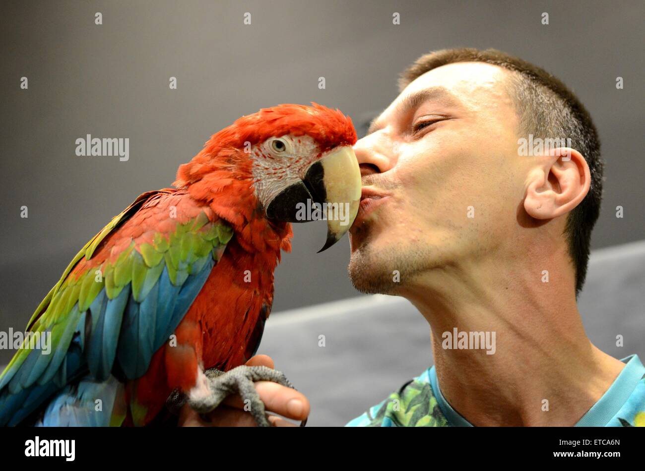 Parrots are displayed at an exhibition in the town of Varna, Bulgaria ...