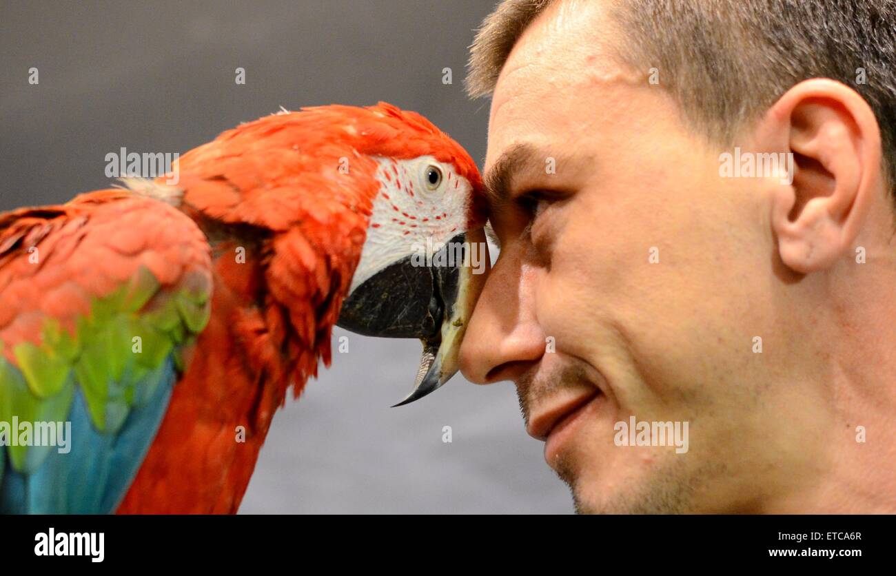 Parrots are displayed at an exhibition in the town of Varna, Bulgaria ...