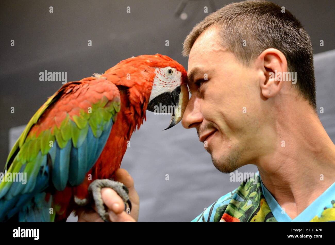 Parrots are displayed at an exhibition in the town of Varna, Bulgaria ...