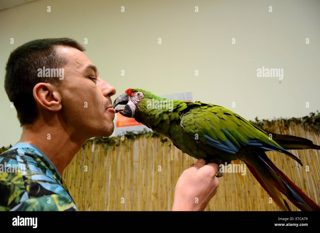 Parrots are displayed at an exhibition in the town of Varna, Bulgaria ...