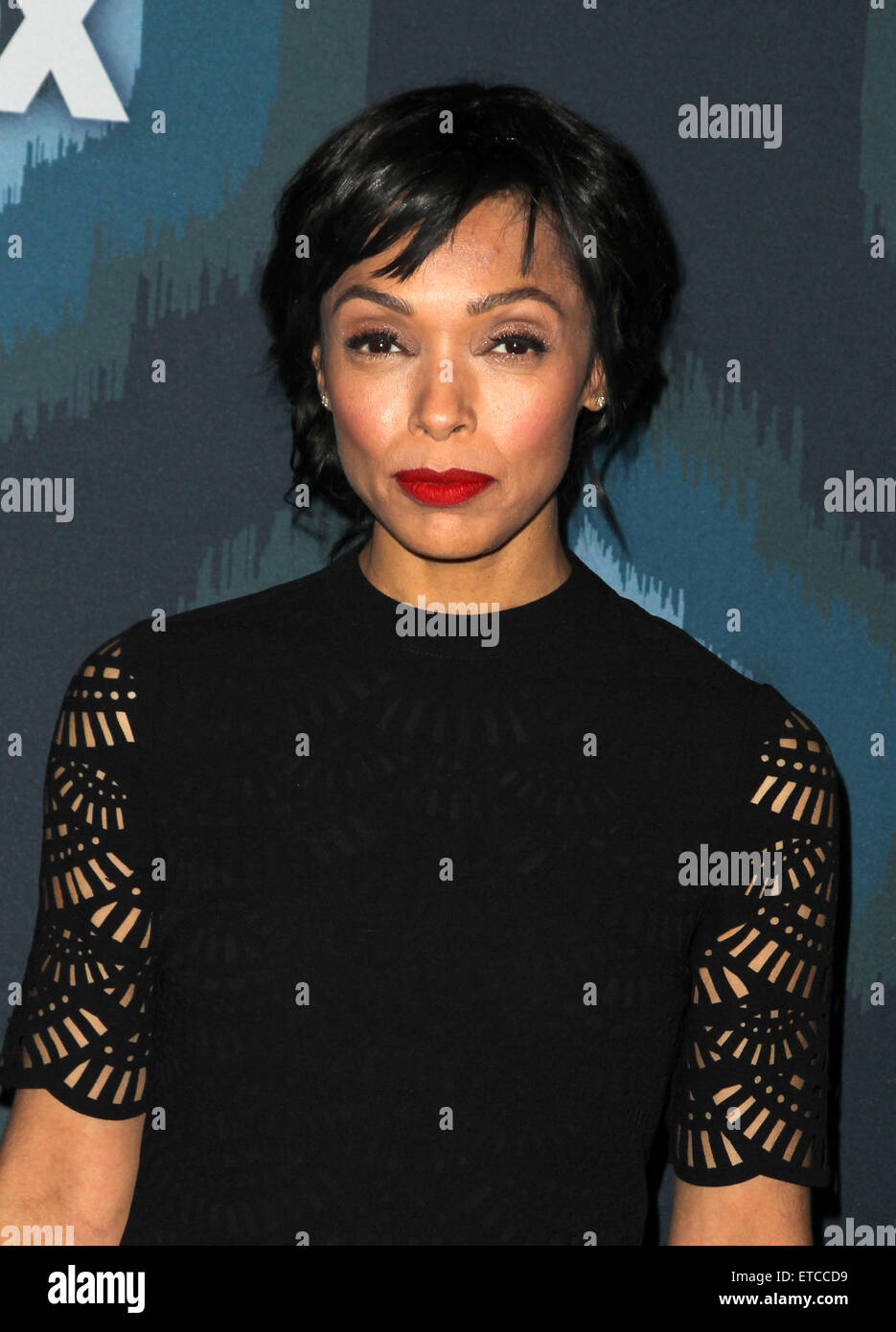 2015 FOX Winter Television Critics Association All-Star Party at the ...