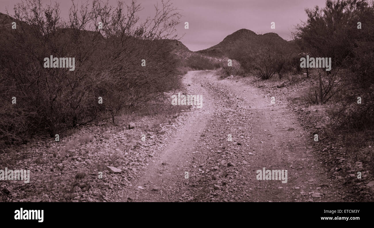 Remote area of Sonora Desert of Mexico in black and white Stock Photo ...