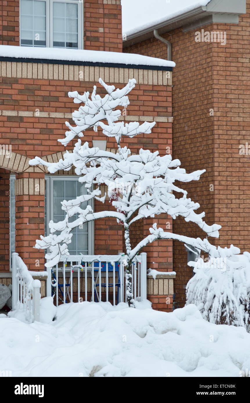 Snow winter in small Canadian town Stock Photo - Alamy