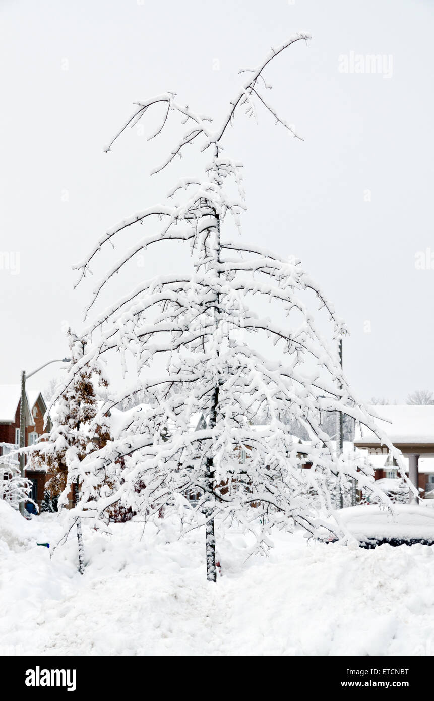 Snow winter in small Canadian town Stock Photo - Alamy