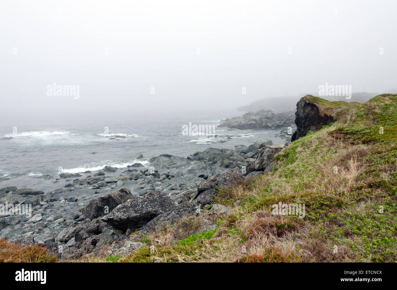 Newfoundland coast in summer time Stock Photo - Alamy