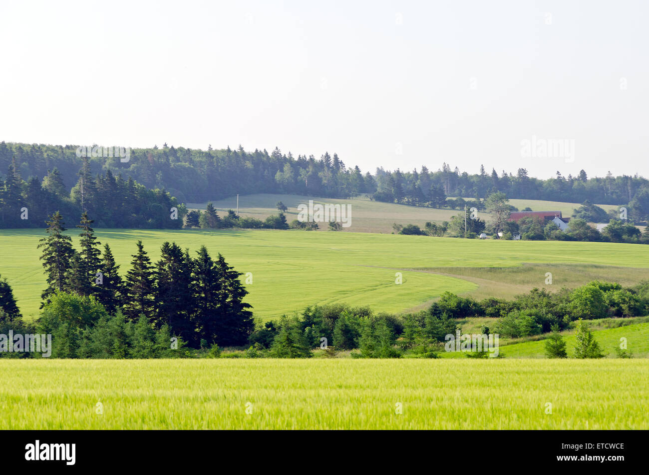 Prince edward island countryside hi-res stock photography and images ...