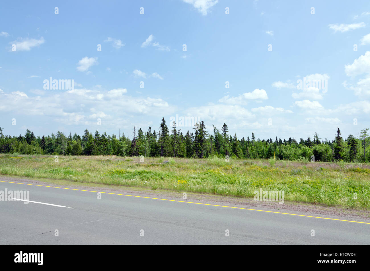 Highway in North part of New Brunswick, Canada Stock Photo - Alamy