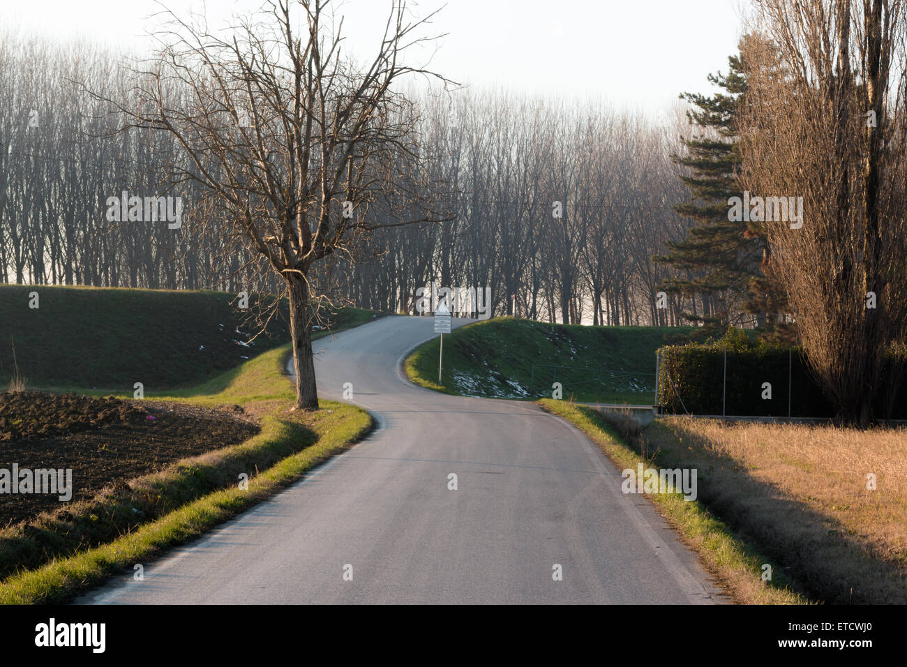 Winding road through forest, S-shape curve path Stock Photo - Alamy