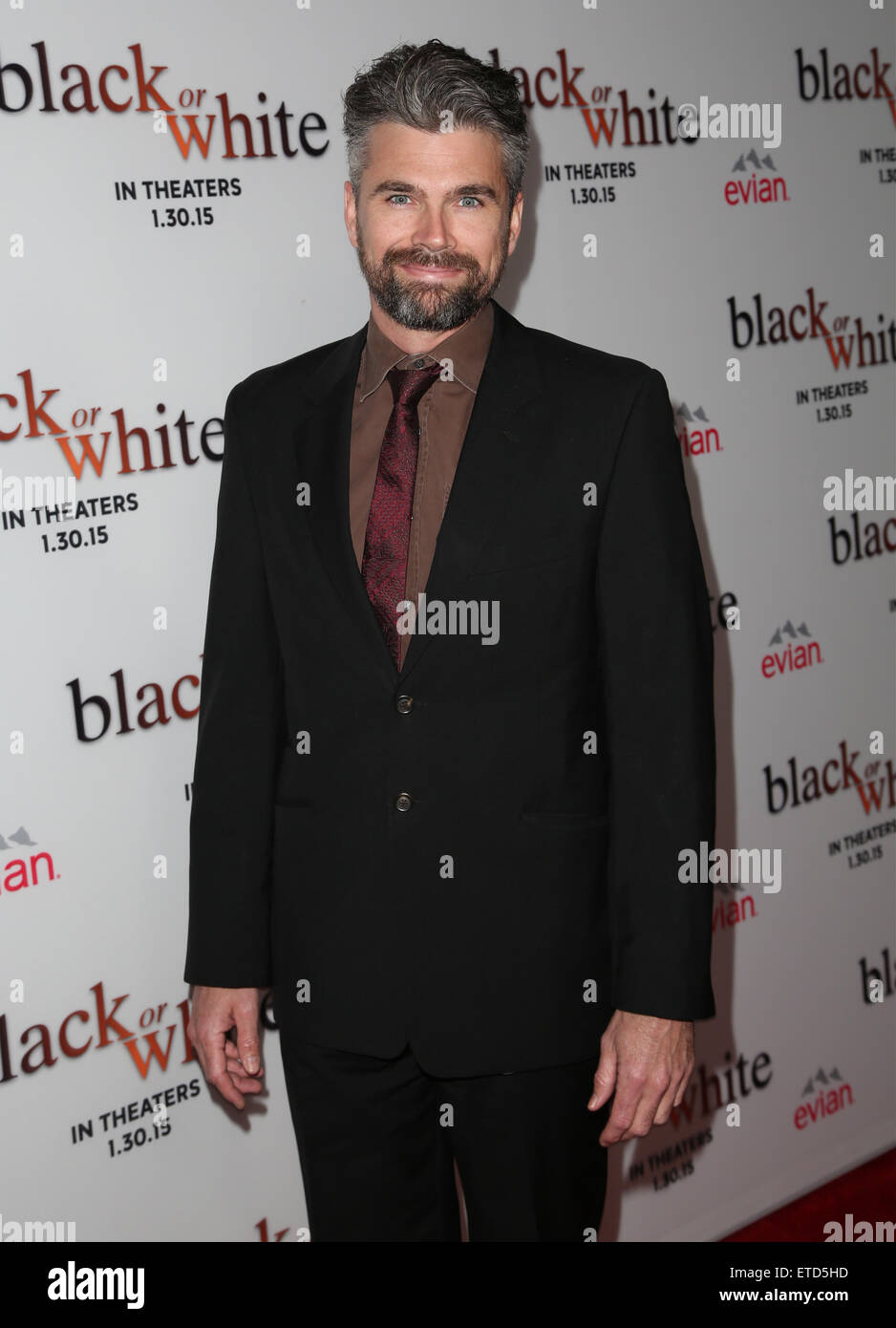 Celebrities attend Los Angeles premiere of BLACK OR WHITE at Regal ...