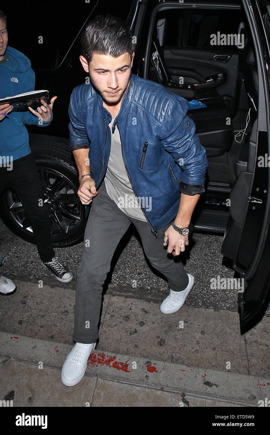 Nick Jonas celebrates the success of his new single with family and ...