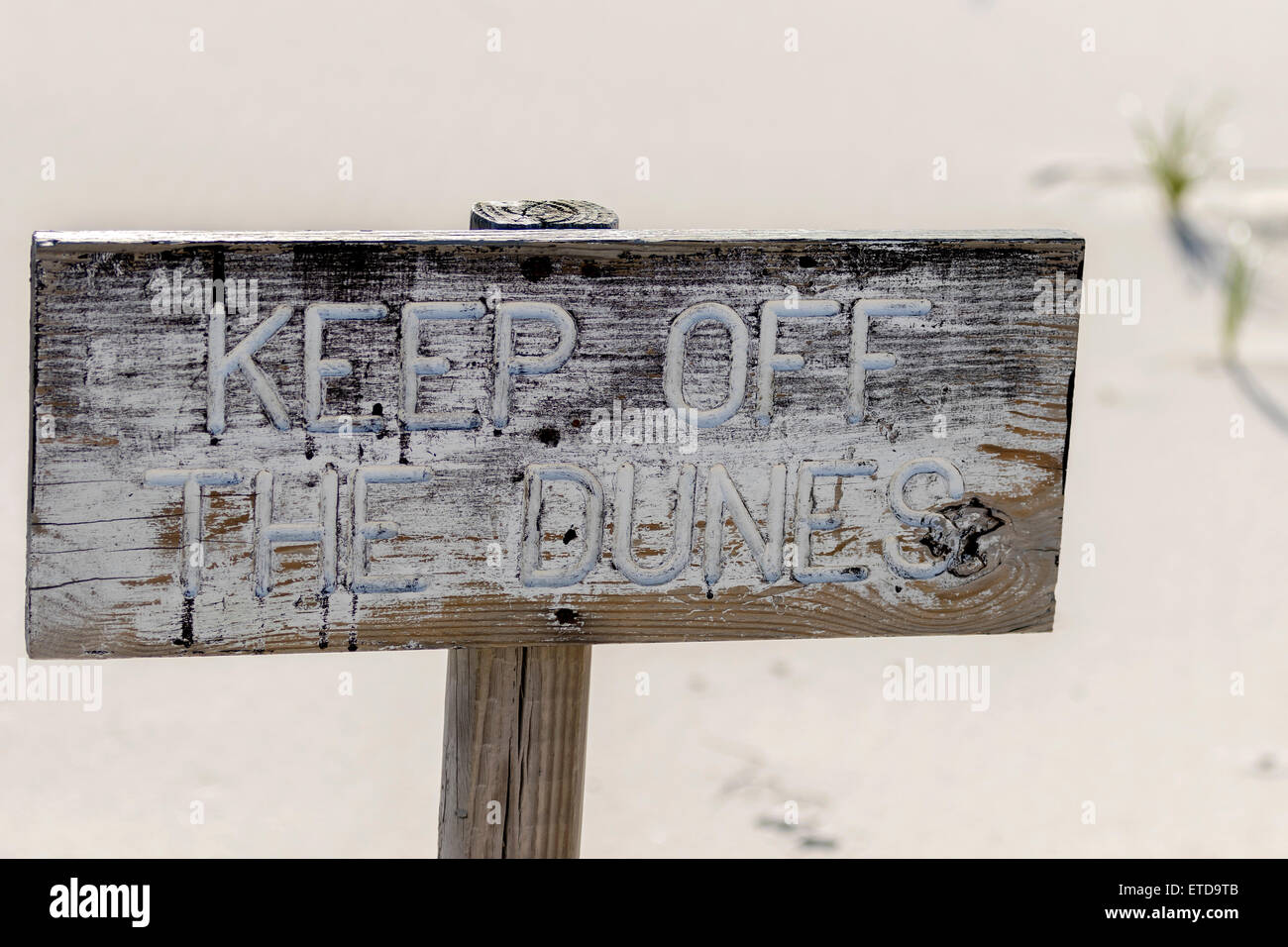 Wooden keep off sign and white sand dunes on the beach on a hot summer ...