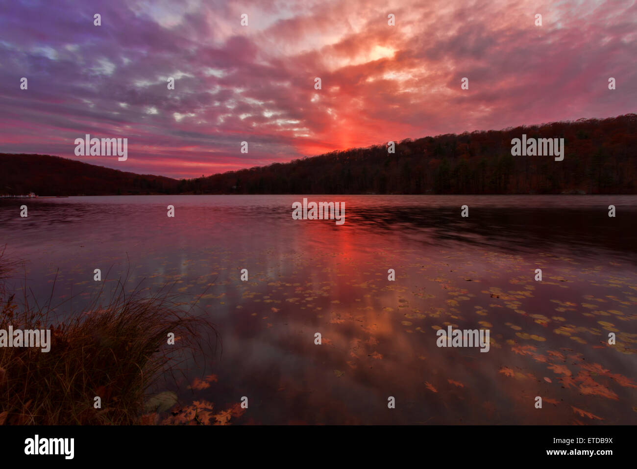 Sunset on the forest lake Stock Photo - Alamy