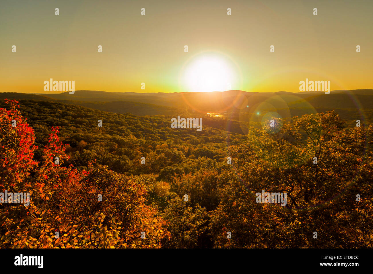 Foresty landscape hi-res stock photography and images - Alamy