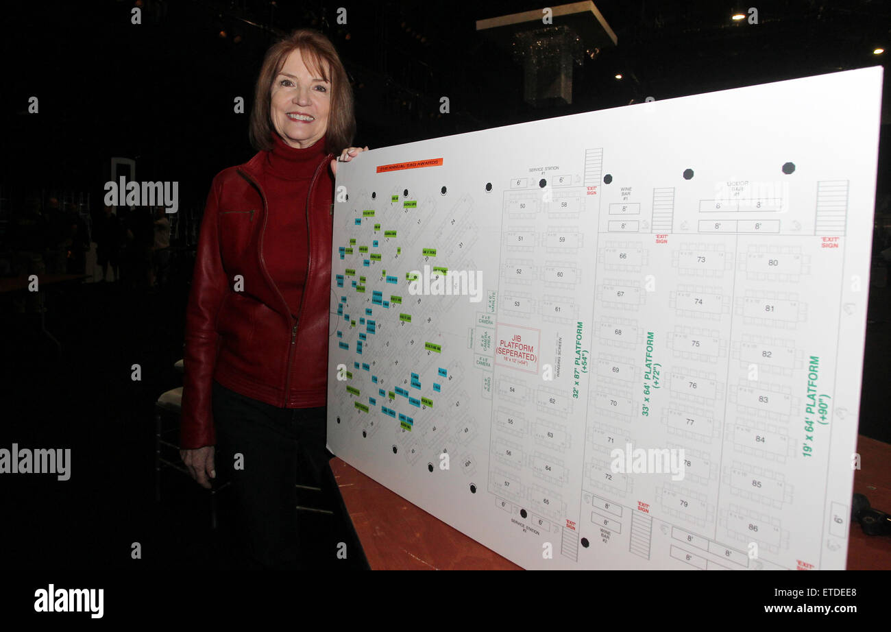 2015 SAG Behind The Scenes Featuring: Kathy Connell Where: Los Angeles ...