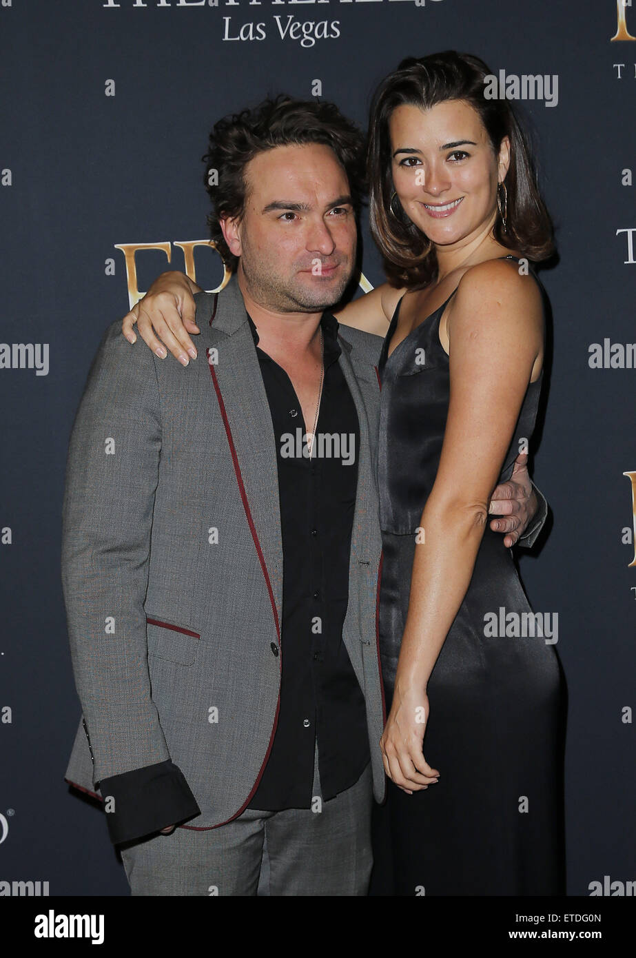 Johnny Galecki Allison Galecki