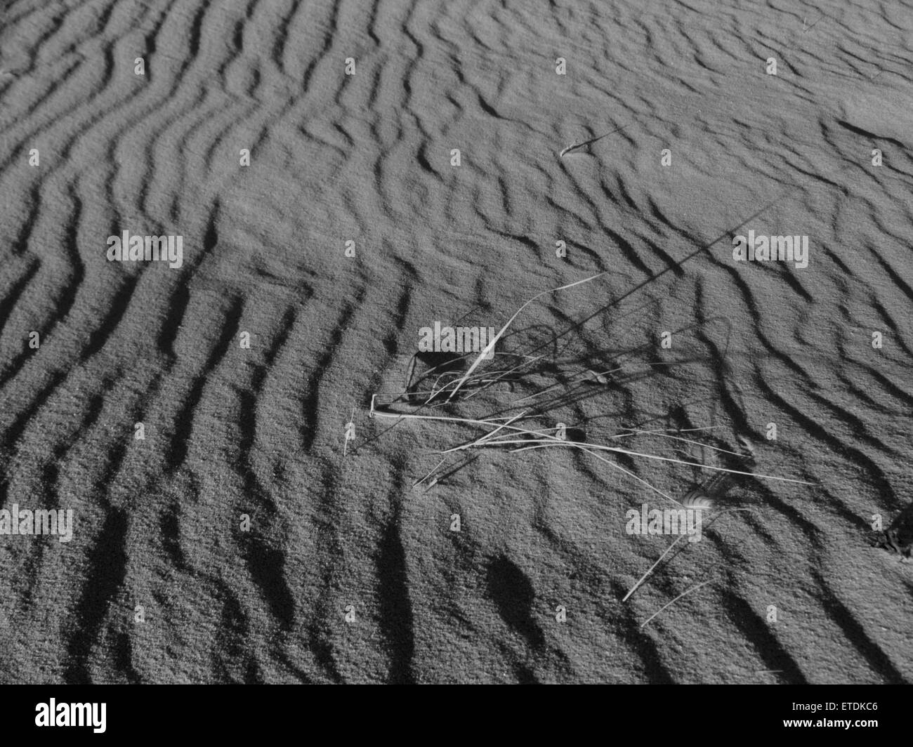 Sandy beach summer atlantic Black and White Stock Photos & Images - Alamy