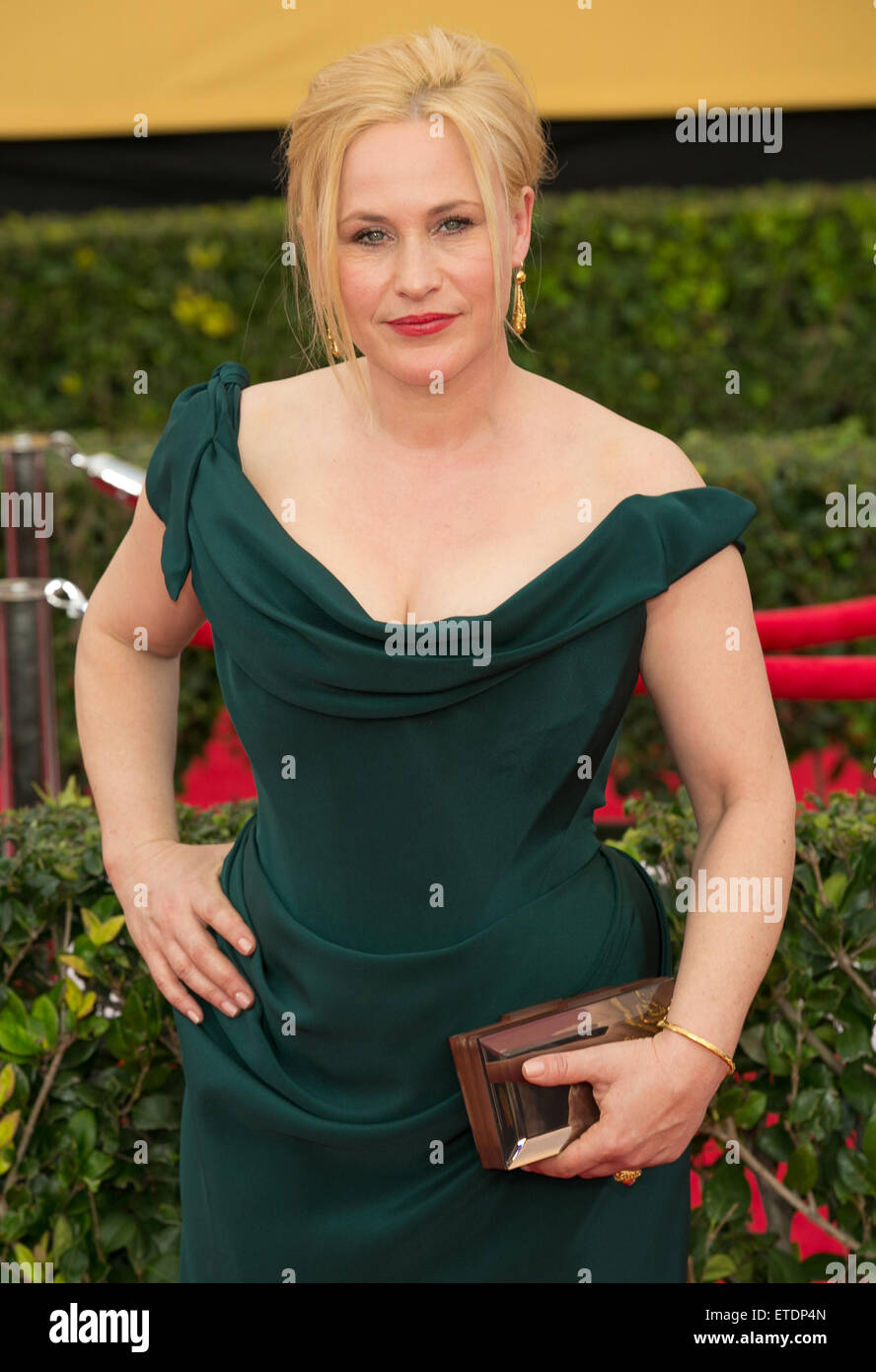 Celebrities attend 21st Annual SAG Awards - Red Carpet at Los Angeles ...