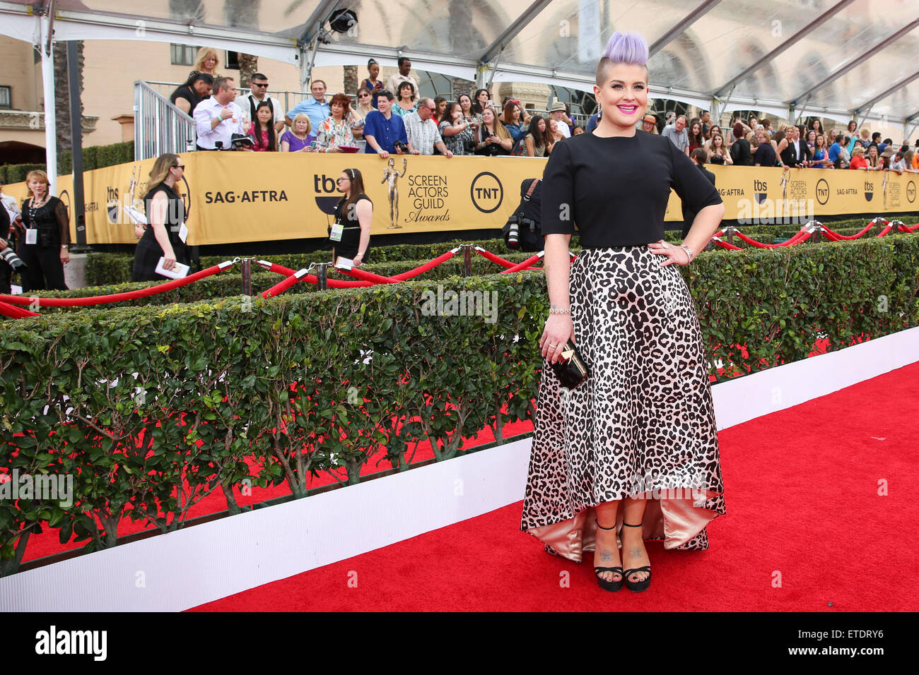 21st Annual Screen Actors Guild Awards Arrivals at The Shrine ...