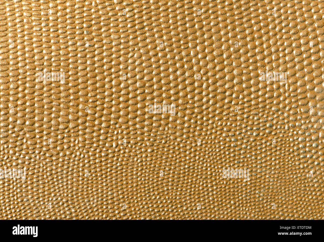 Snakeskin pattern hi-res stock photography and images - Alamy