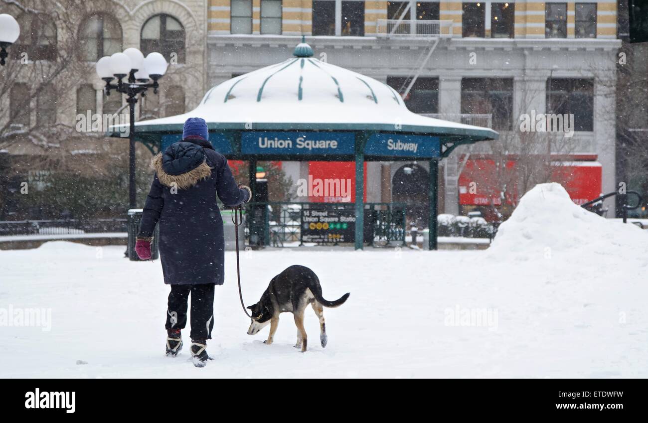 Winter Storm Juno aftermath in New York City Featuring: Atmosphere ...