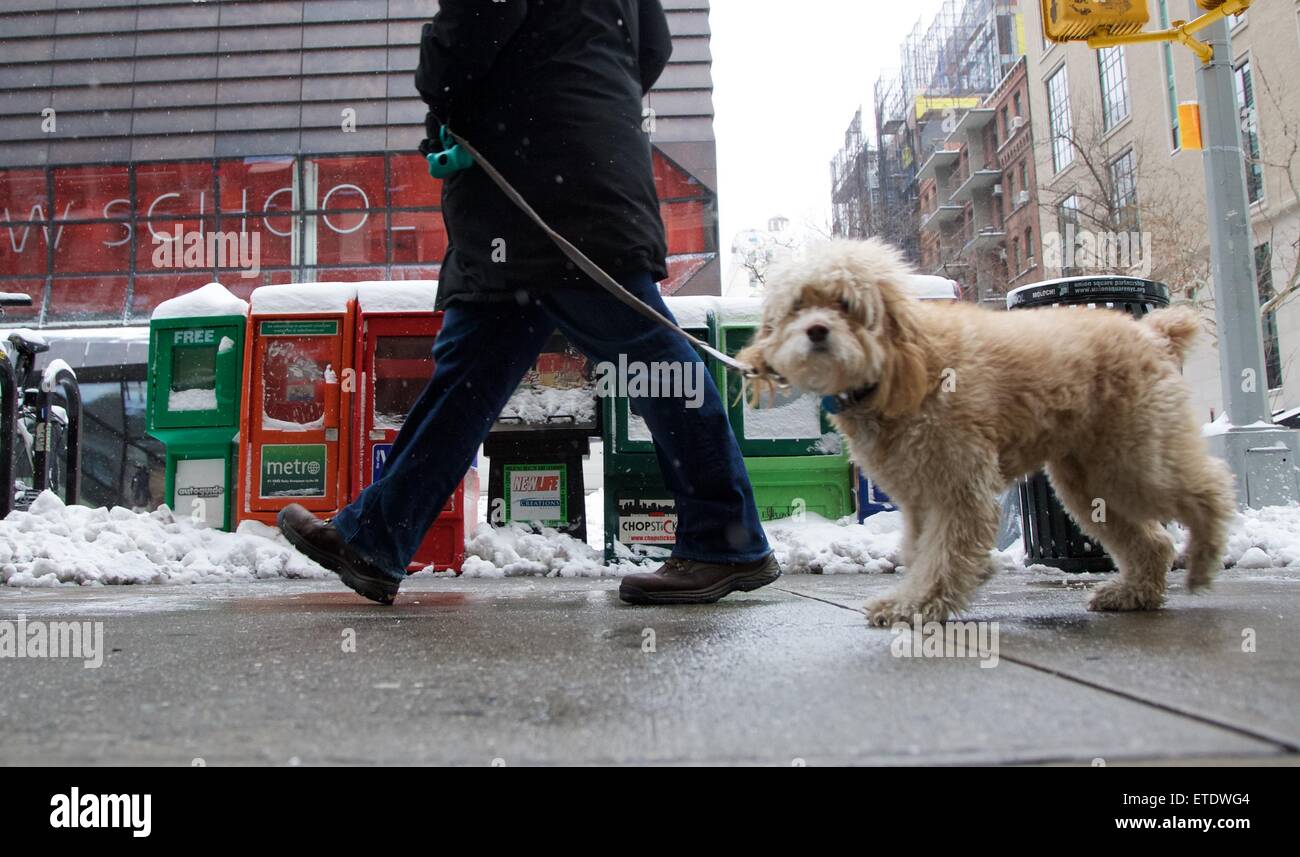 Winter Storm Juno aftermath in New York City Featuring: Atmosphere ...