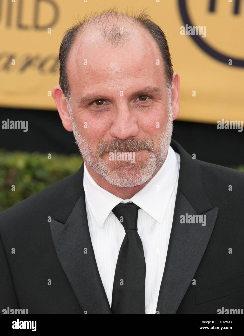 21st Annual SAG Awards at Shrine Exposition Center - Arrivals Featuring ...