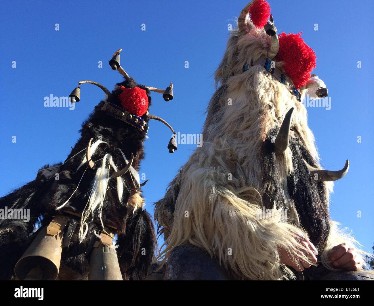 Bulgarian Kukeri dancers wear masks during the 24th 'Surva ...