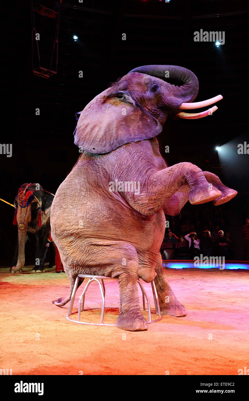 Premiere of February Show of Circus Krone at Circus Krone Featuring ...