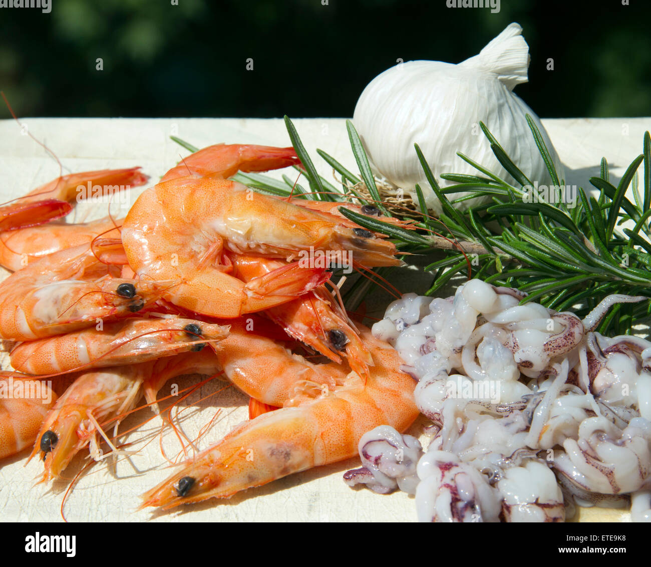Sprigs hi-res stock photography and images - Alamy