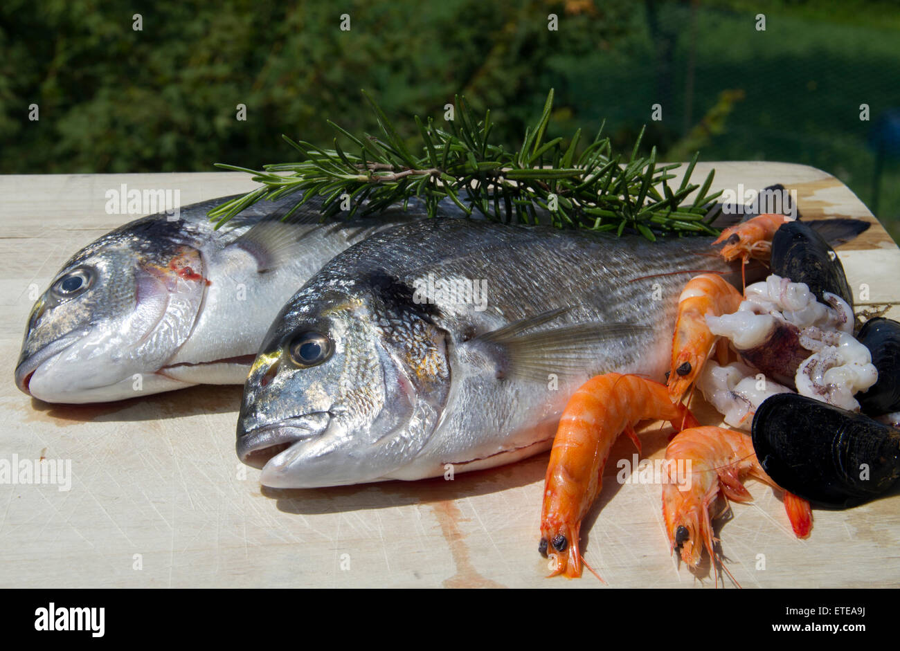 Two sea breams hi-res stock photography and images - Alamy