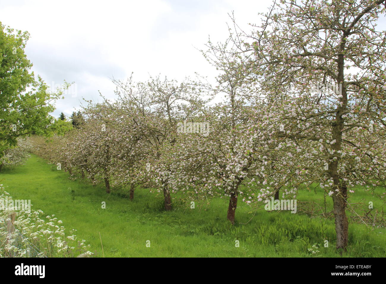 Cornwall Beautiful Scenes Stock Photo - Alamy