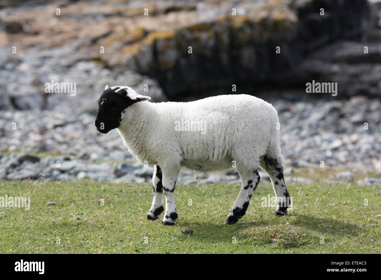 Cornwall Beautiful Scenes Stock Photo - Alamy