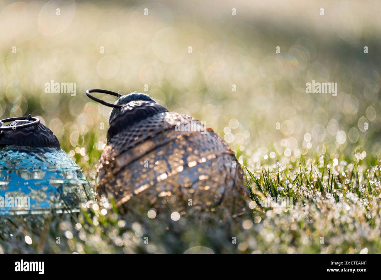 Cold winter morning dew on grass hi-res stock photography and images ...