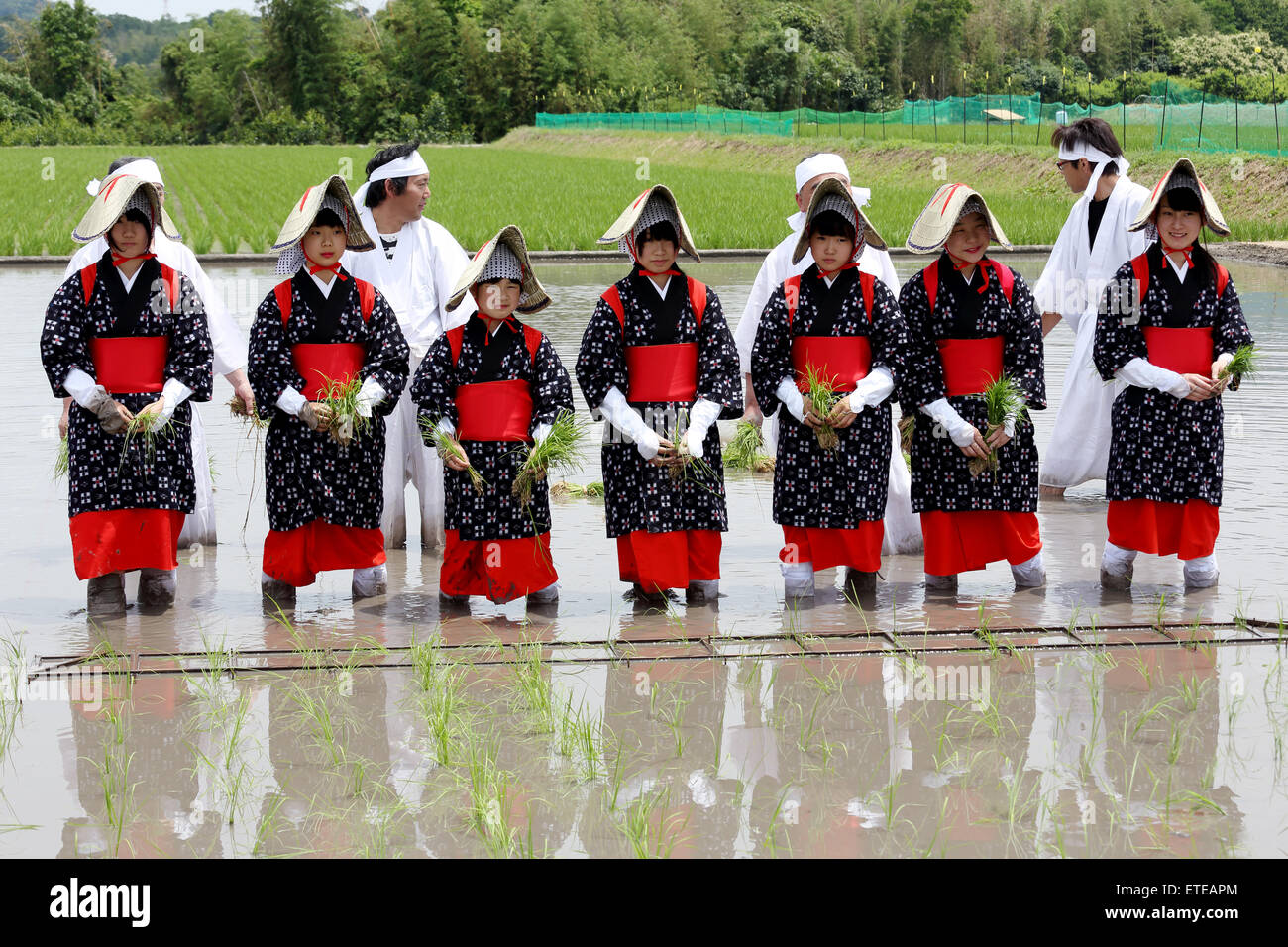 Japanese paddy field hi-res stock photography and images - Alamy