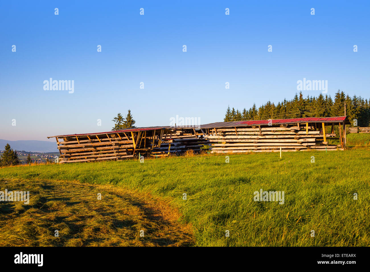 Wood storage area with tree trunks hi-res stock photography and images ...