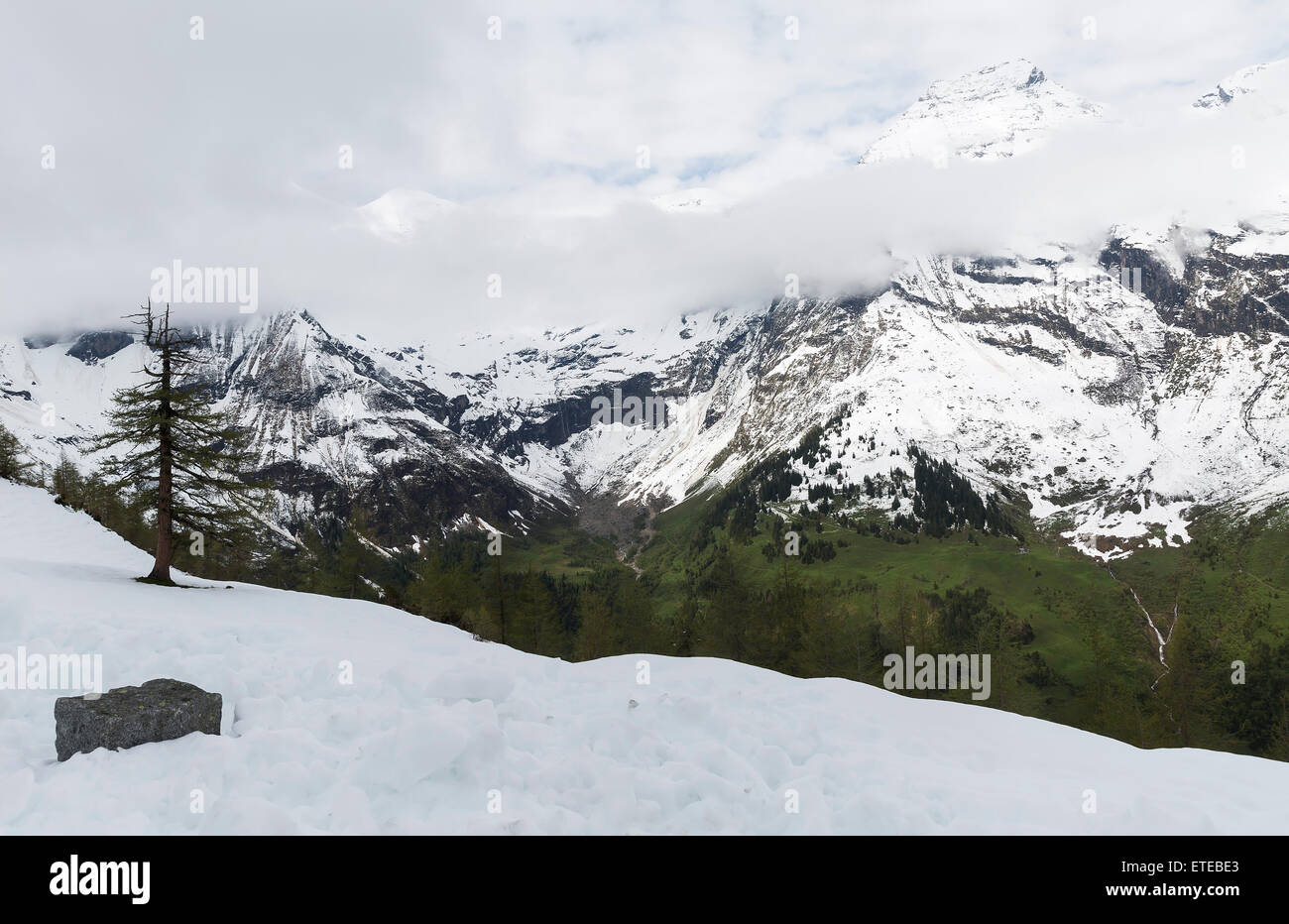 snow-capped Alps in Austria landscape Stock Photo - Alamy