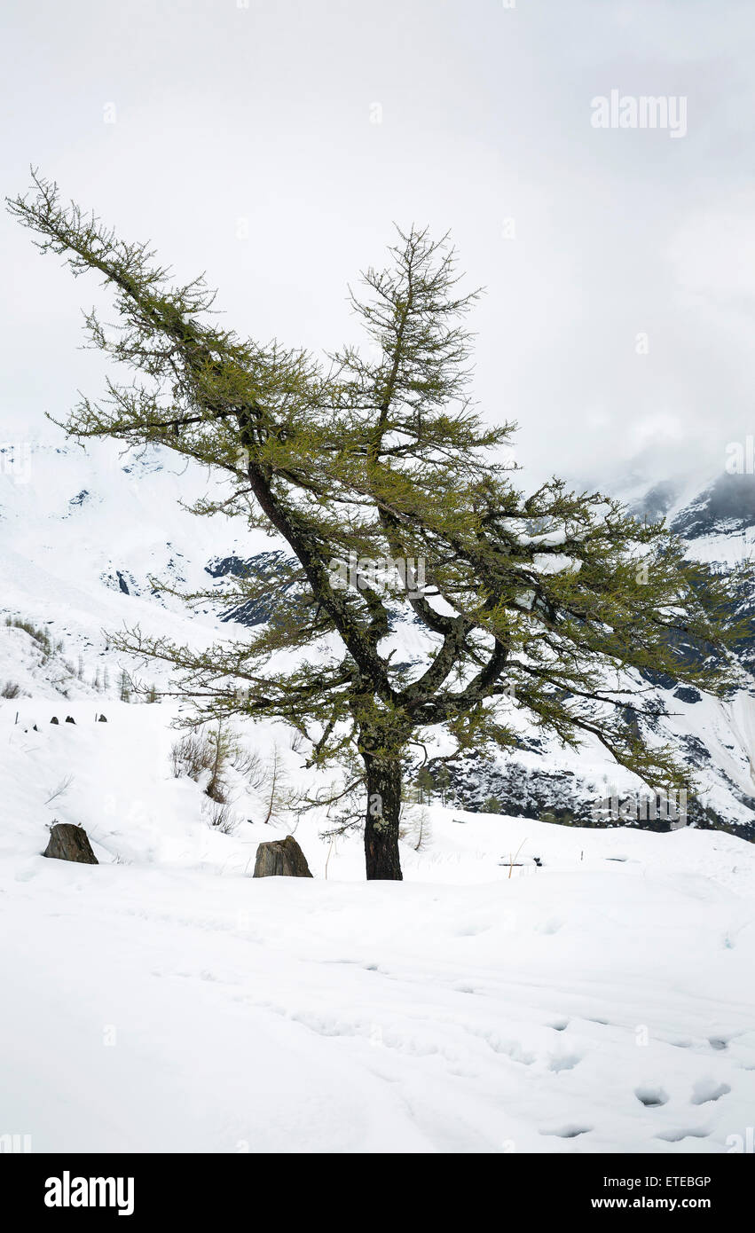 Frosty alps hi-res stock photography and images - Alamy
