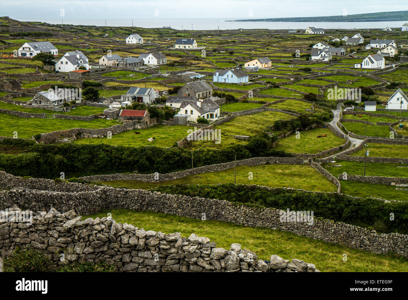Stone wall of the Aran Islands Stock Photo - Alamy