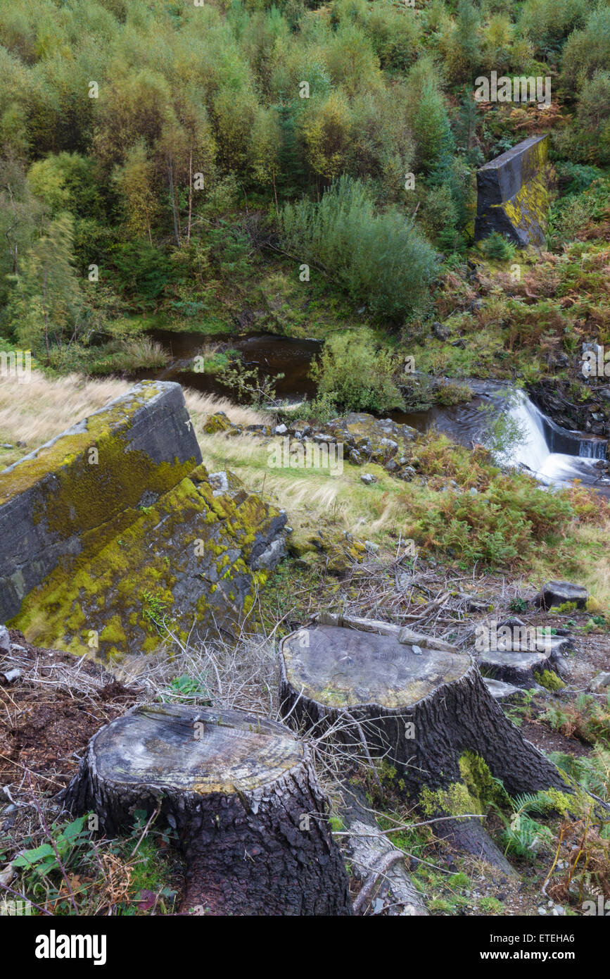 Raf 617 squadron hi-res stock photography and images - Alamy