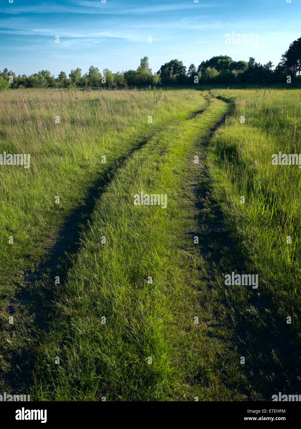 Pathway in meadow Stock Photo - Alamy