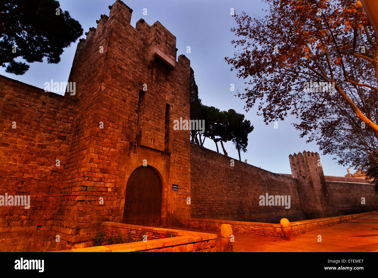 Madrona hi-res stock photography and images - Alamy