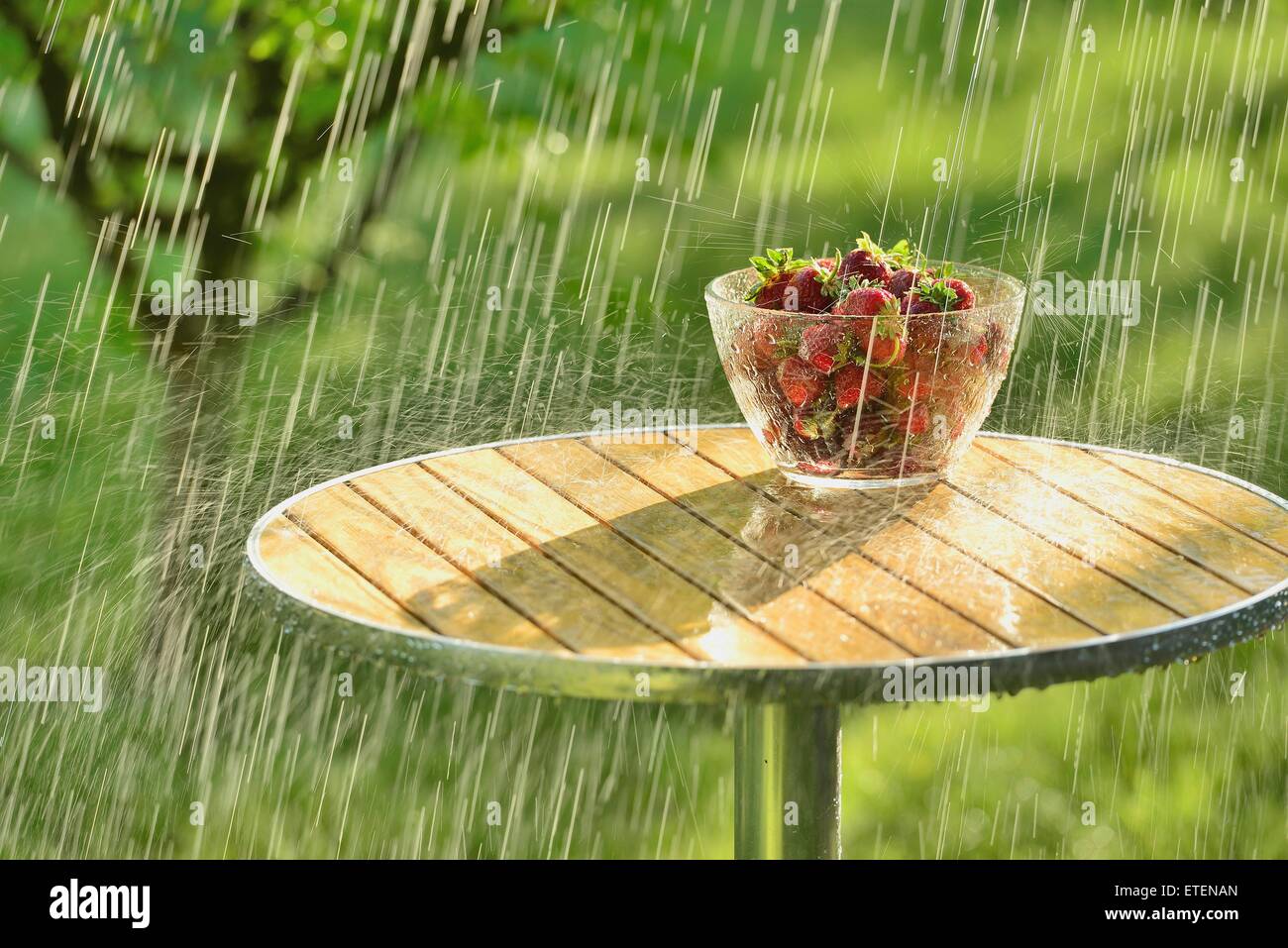 Summer rain and strawberries Stock Photo - Alamy