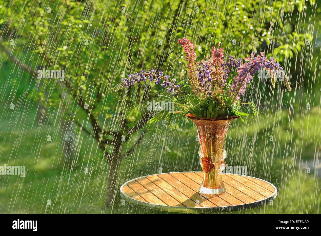 Summer rain and flowers Stock Photo - Alamy