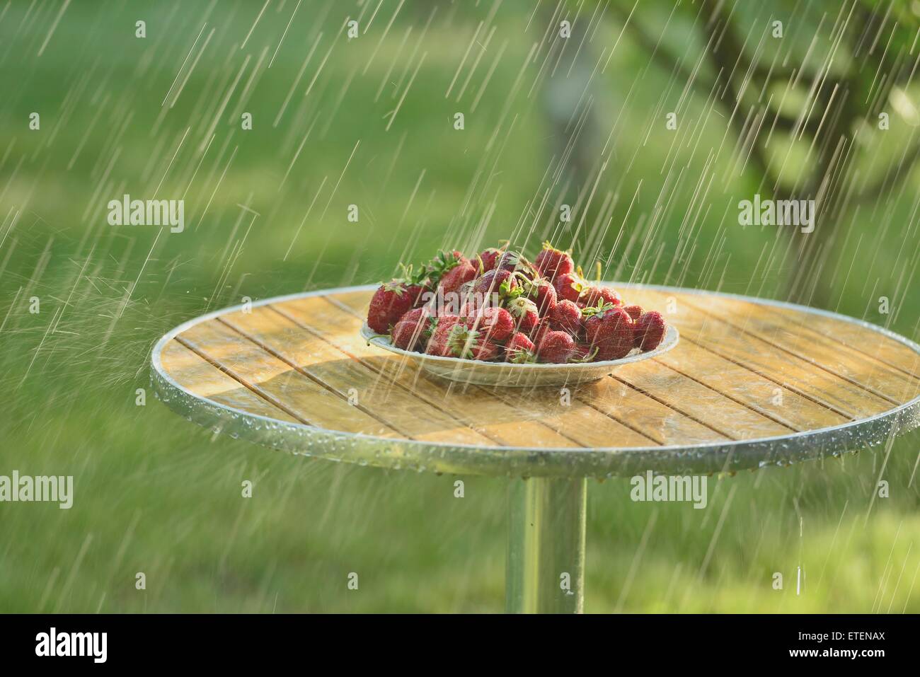 Summer rain and strawberries Stock Photo - Alamy