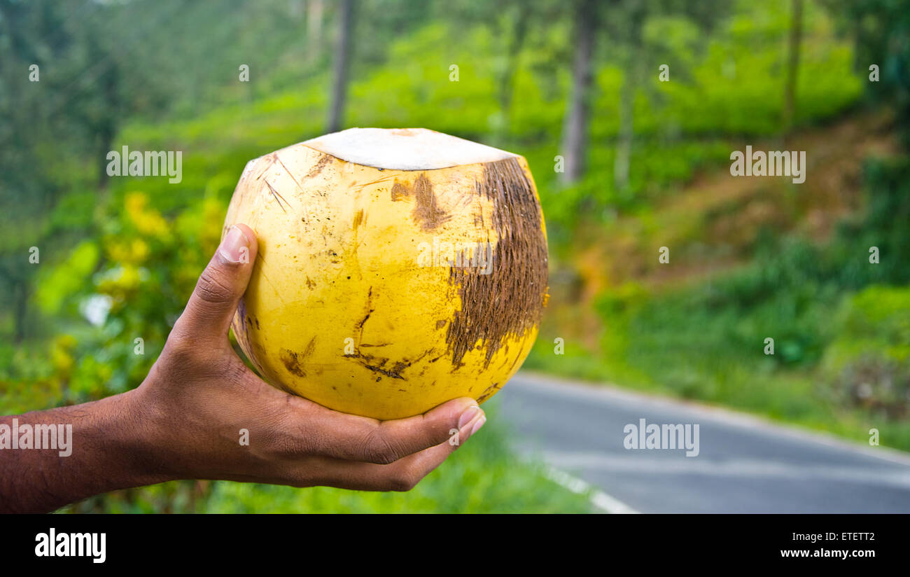 King Coconut, King Coconut Is A Well-Known Source Of Carbohydrates ...