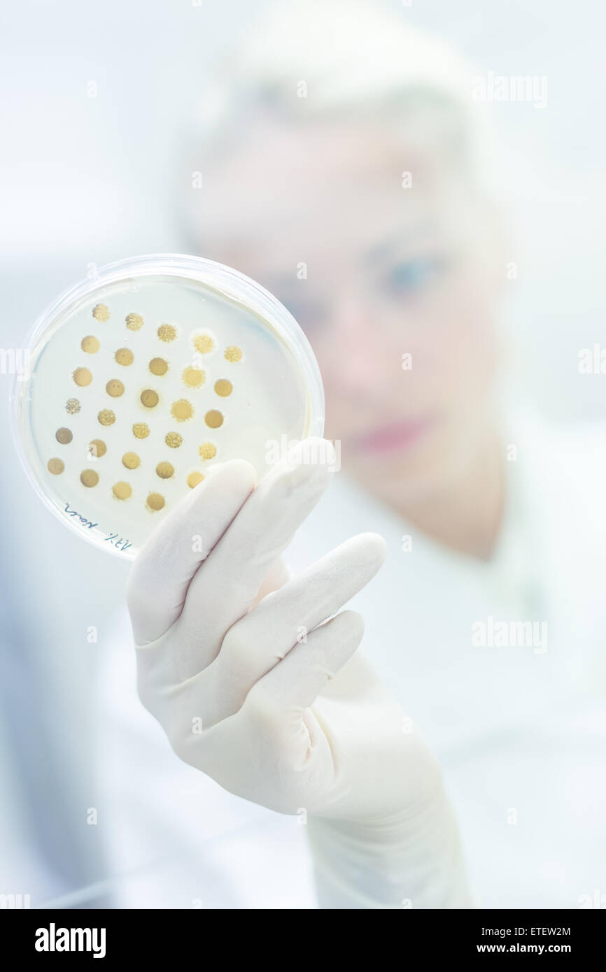 Scientist observing petri dish Stock Photo - Alamy