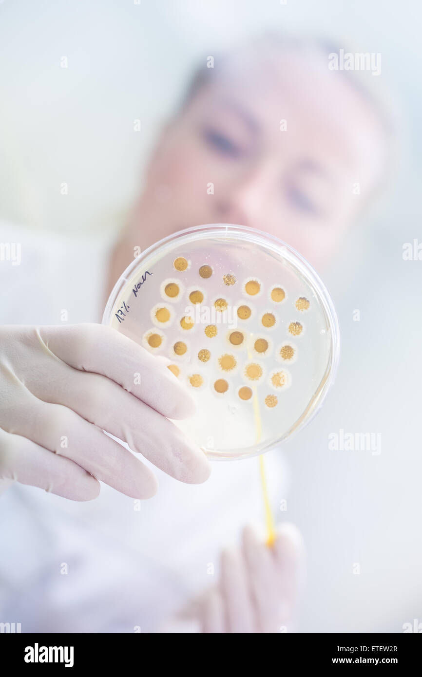 Scientist observing petri dish Stock Photo - Alamy